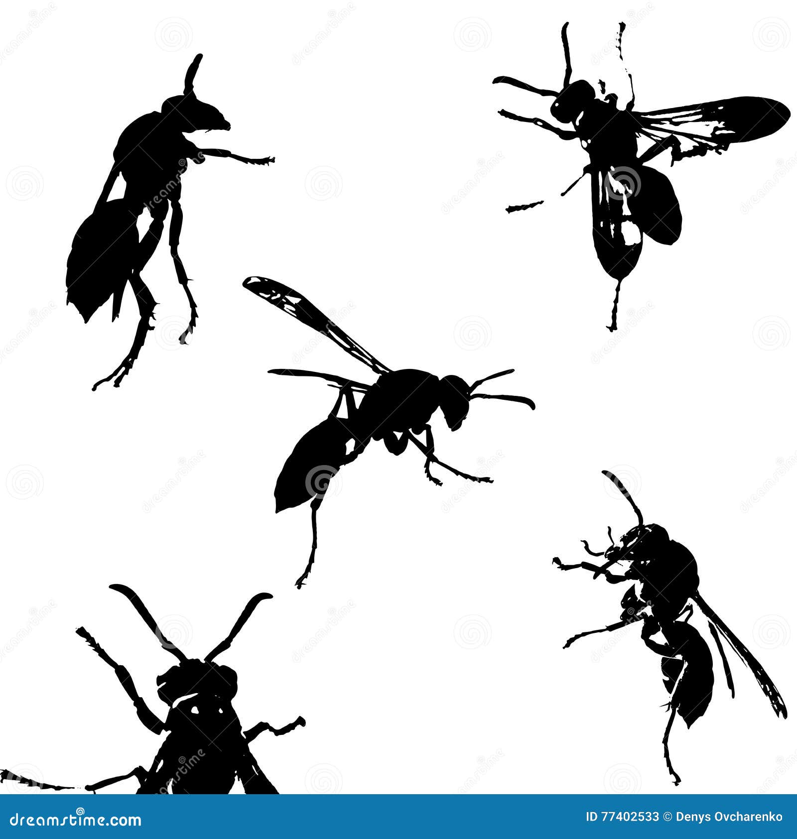 Wasp set. Vector stock illustration. Illustration of small - 77402533