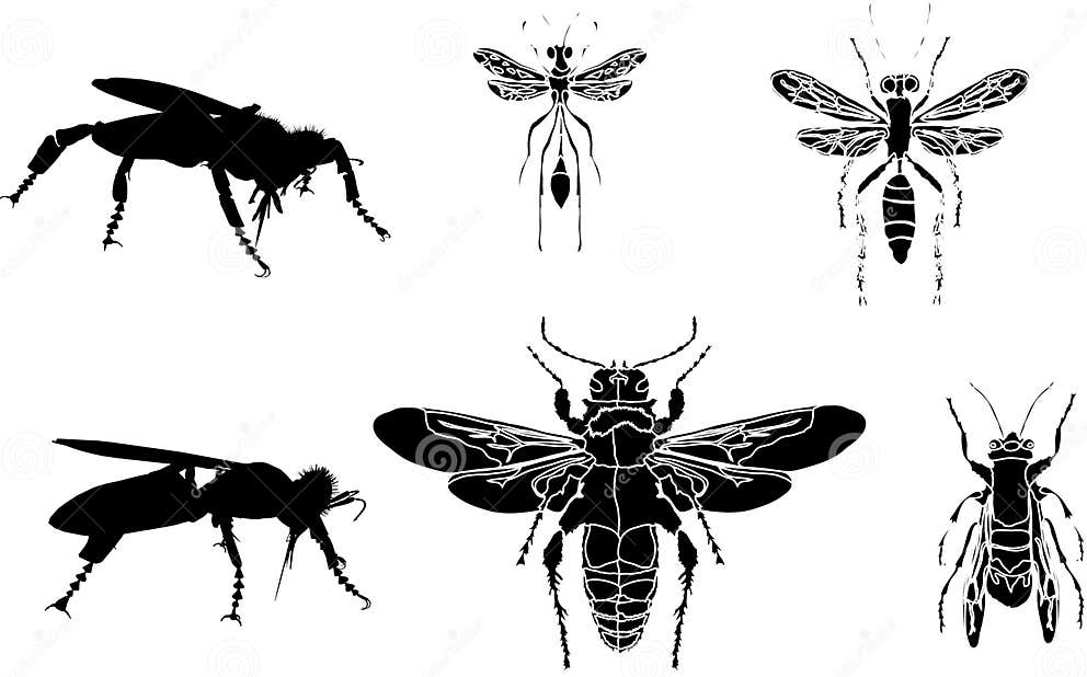 Wasp Silhouettes Collection Stock Illustration - Illustration of ...