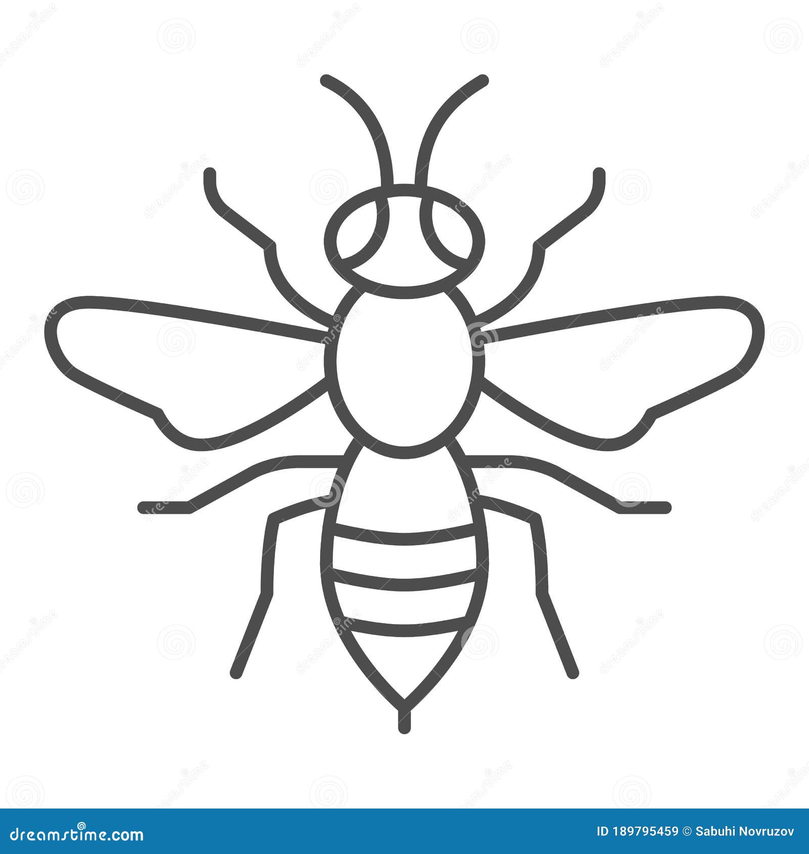 Wasp Thin Line Icon, Insects Concept, Bee Sign on White Background ...