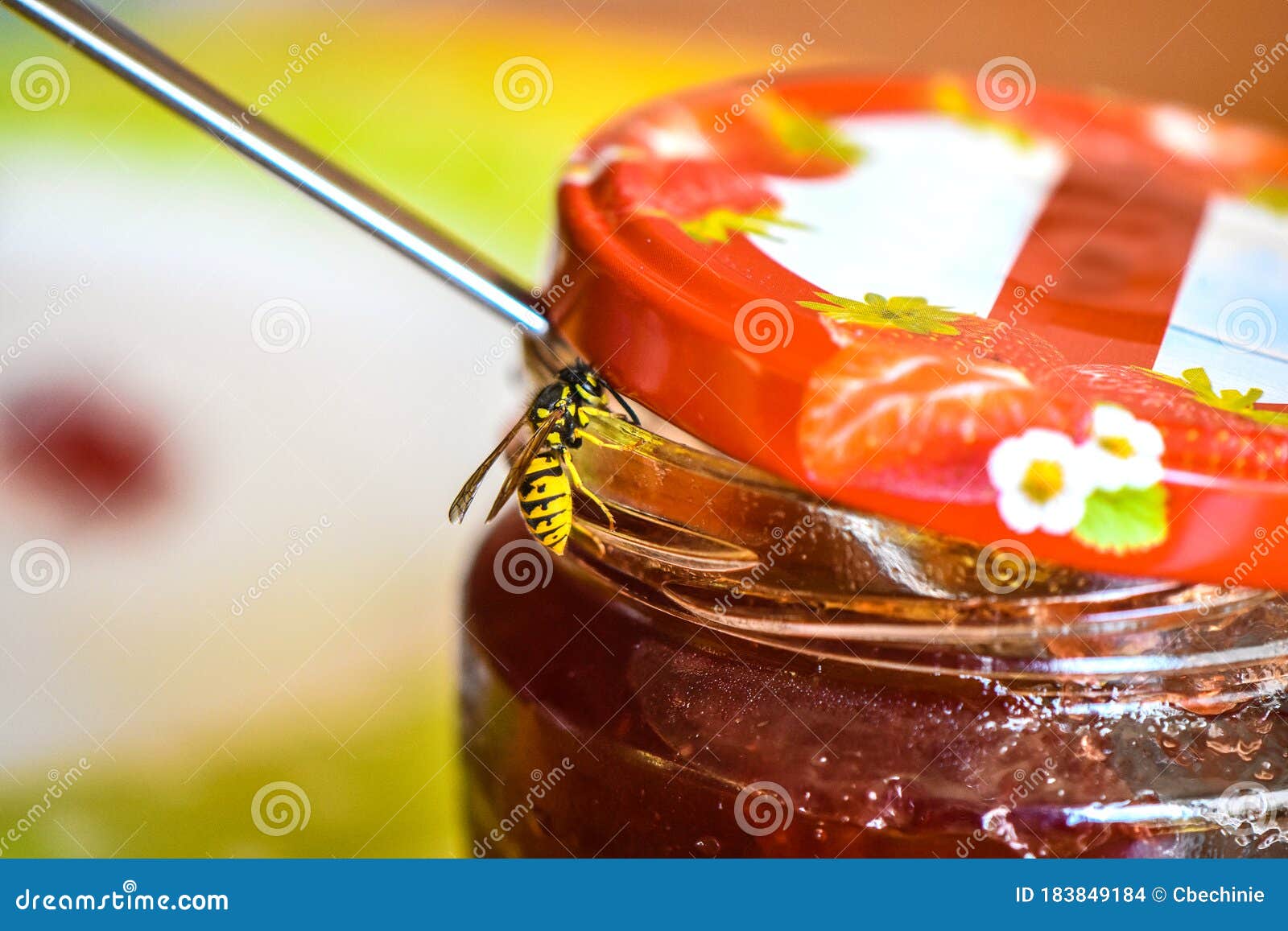 Wasp Trying To Climb into a Half-open Jam Jar Stock Photo - Image of ...