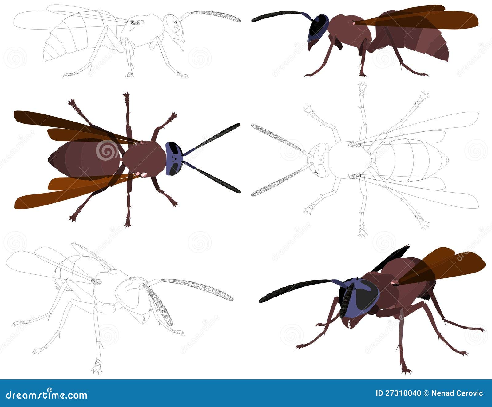 Wasp Vector 01 stock vector. Illustration of animal, black - 27310040