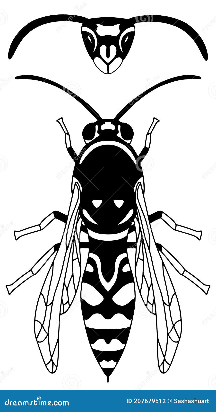 Wasp. Vector Graphics. Hand Drawn Illustration. Black Insect Isolated ...