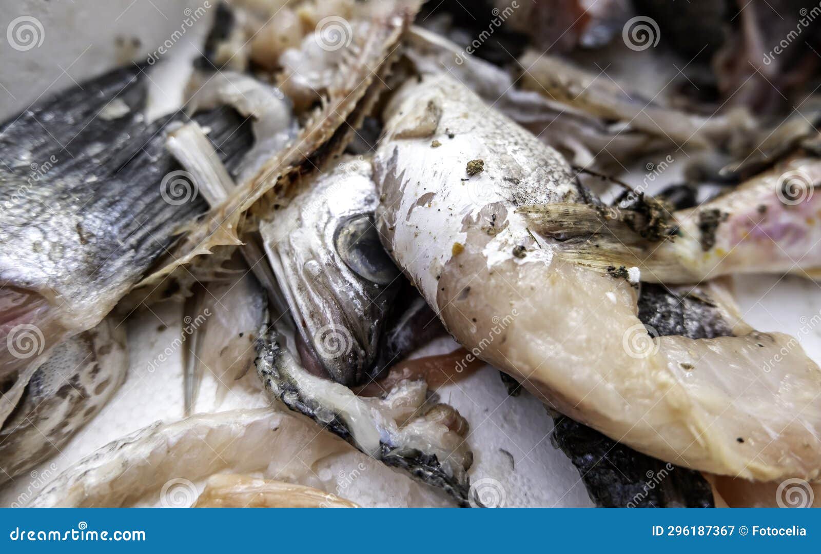 Wasps on dried fish stock image. Image of restaurant - 296187367