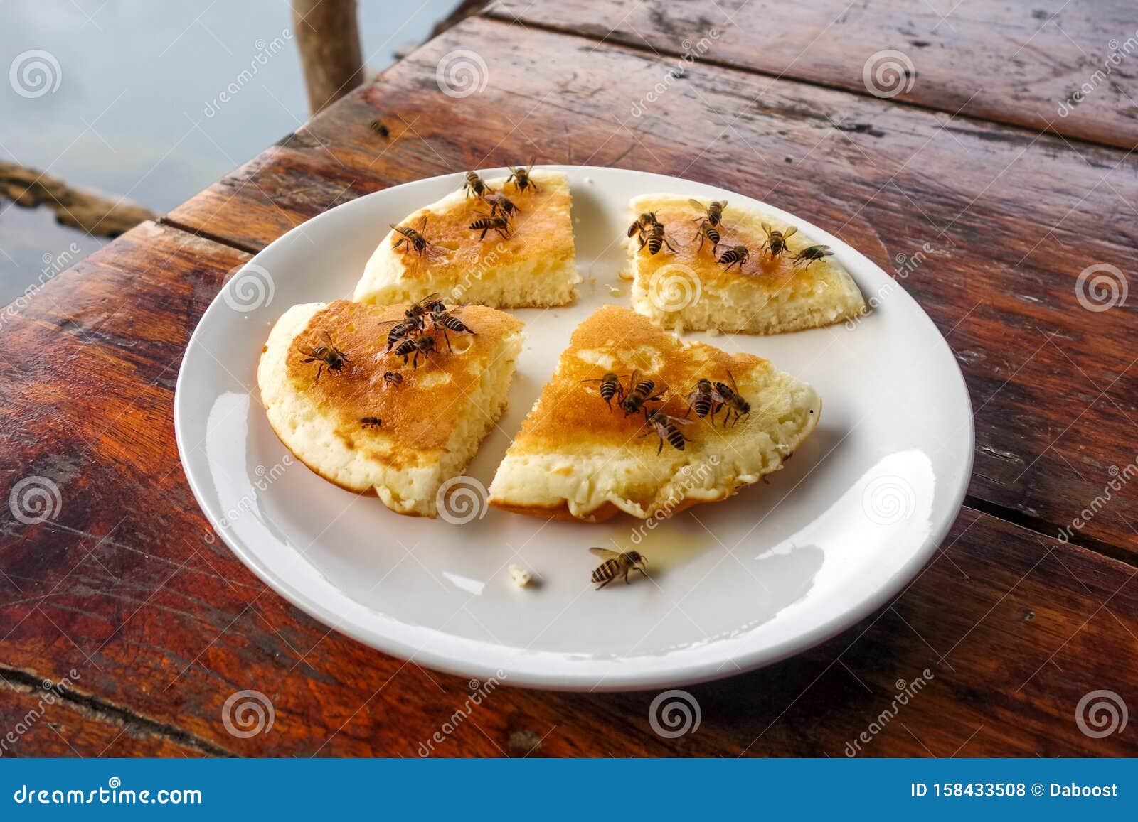 Wasps Nest Cake Stock Photos - Free & Royalty-Free Stock Photos from ...