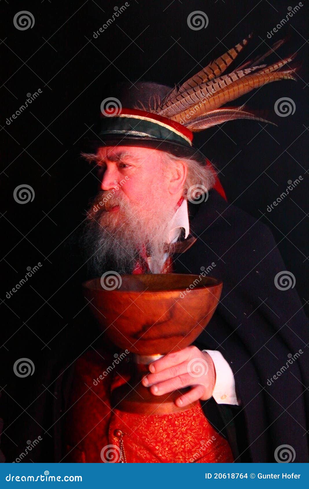 Wassail night celebration editorial stock image. Image of coat - 20618764