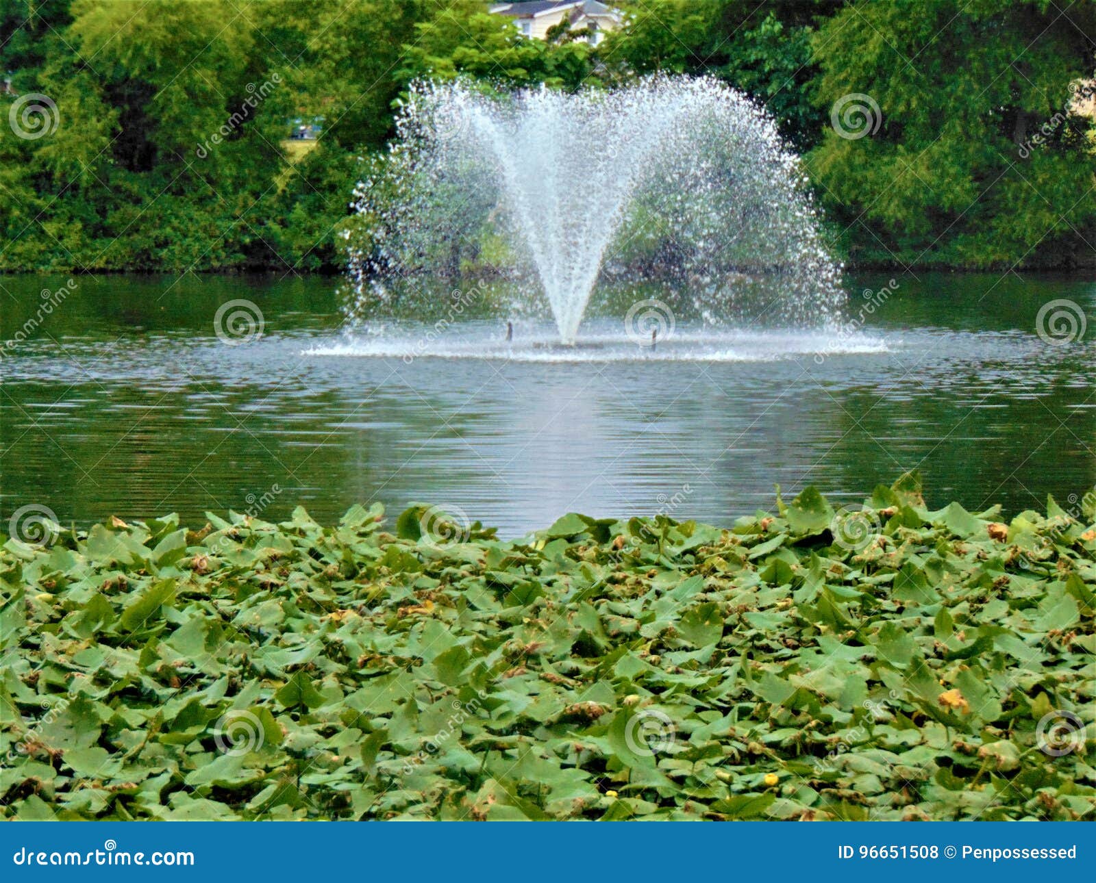Wasser-Brunnen stockfoto. Bild von teich, wasser, mittlere - 96651508
