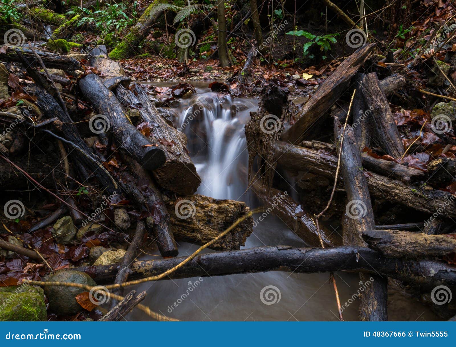 Wasser im alten Nebenfluss stockfoto. Bild von morgen - 48367666