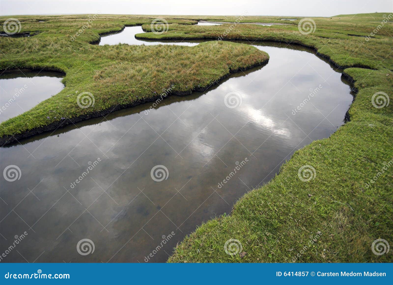 Wasser-Landschaft stockbild. Bild von landschaft, teich - 6414857
