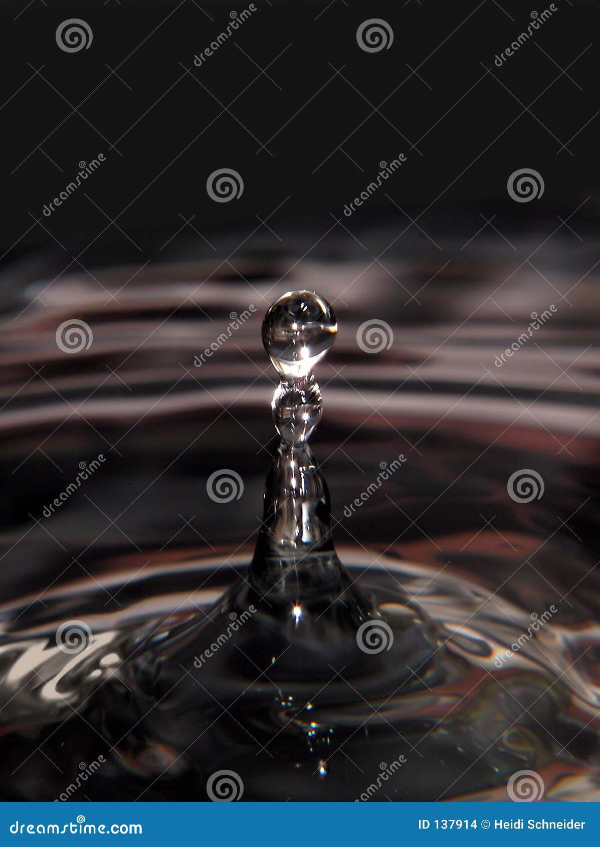 Wasser-Tropfen stockfoto. Bild von wasser, tröpfchen, spritzen - 137914