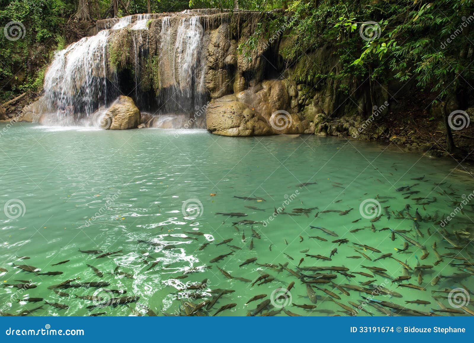 Wasserfall und Fische stockfoto. Bild von blau, landschaft - 33191674
