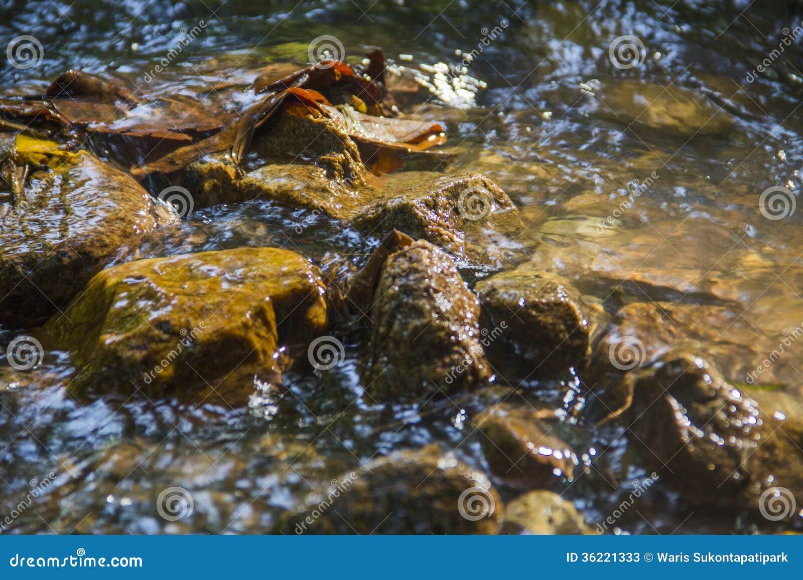 Wasserstrom Durch Den Kiesel Stockbild - Bild von obacht, glatt: 36221333
