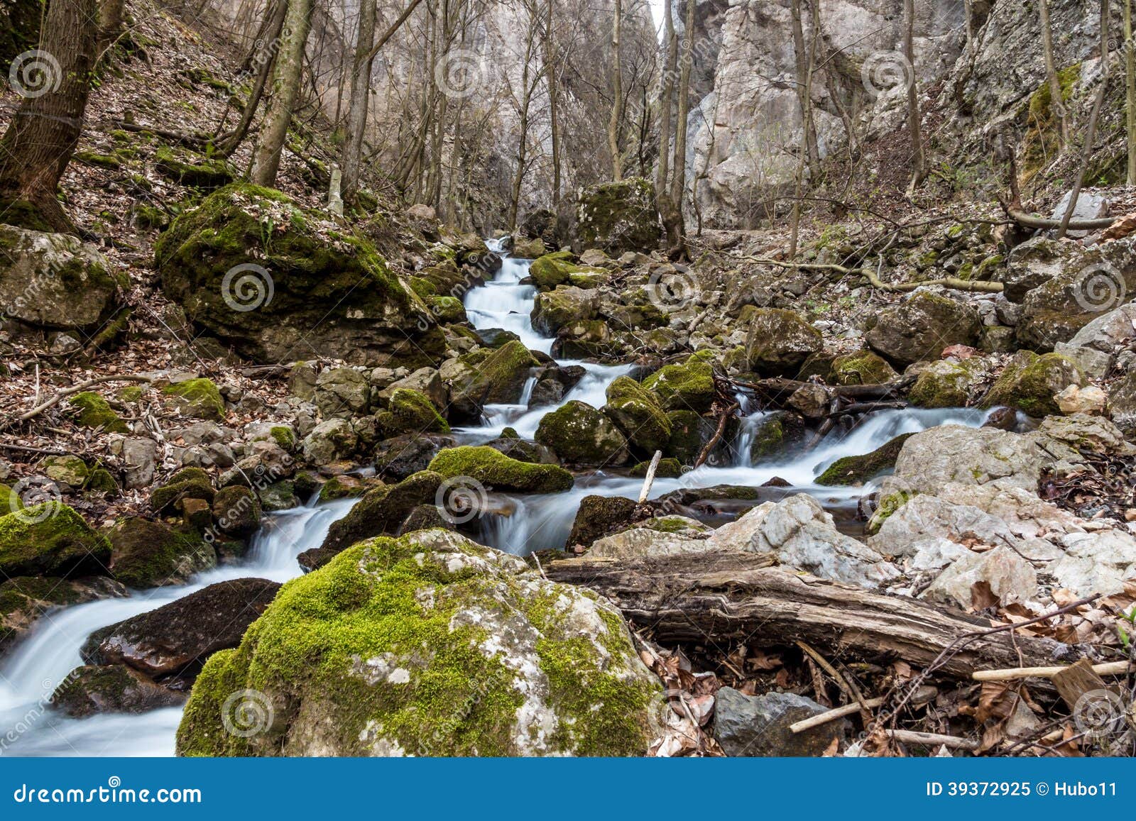 Wasserstrom in Zadielska-Tal Stockbild - Bild von wasserfall, park ...