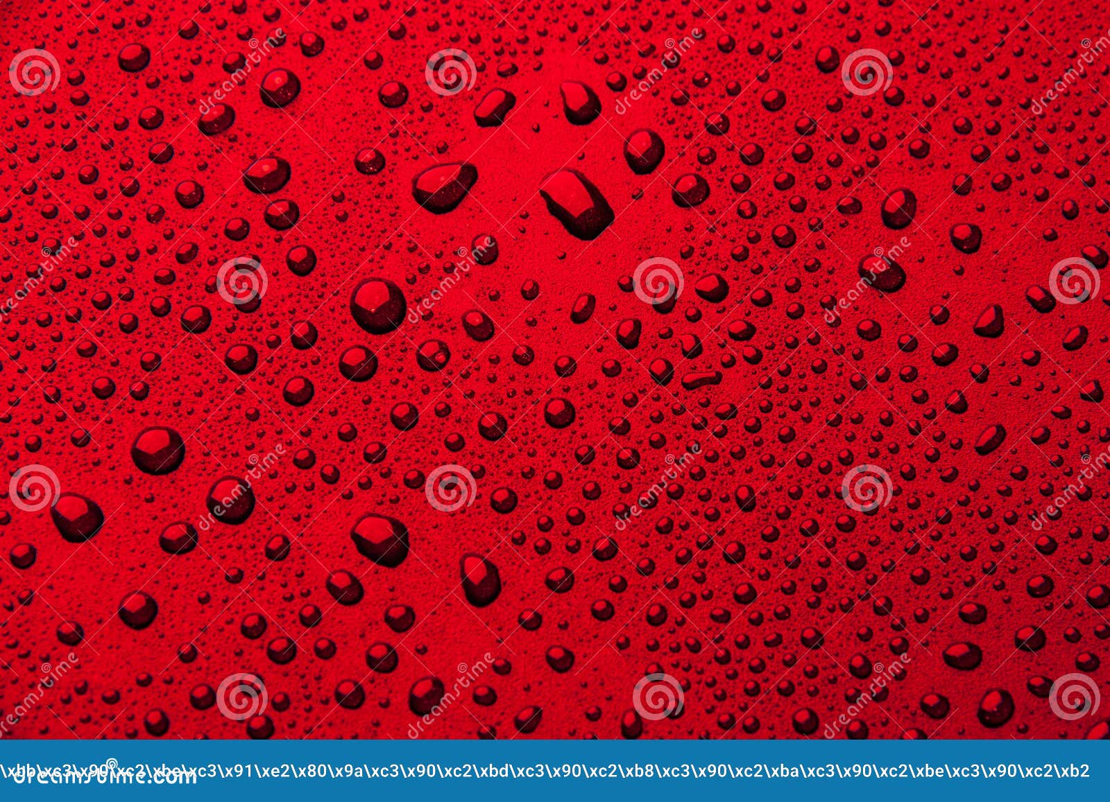 Wassertropfen Auf Einem Farbhintergrund Rot Stockbild - Bild von ...