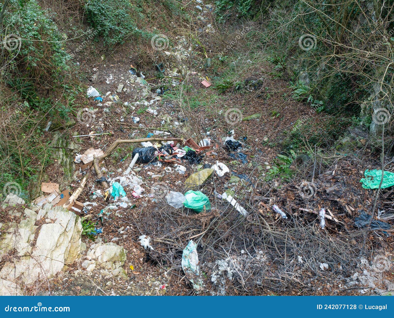 Waste Abandoned in Nature, a Symbol of Pollution and Incivility ...