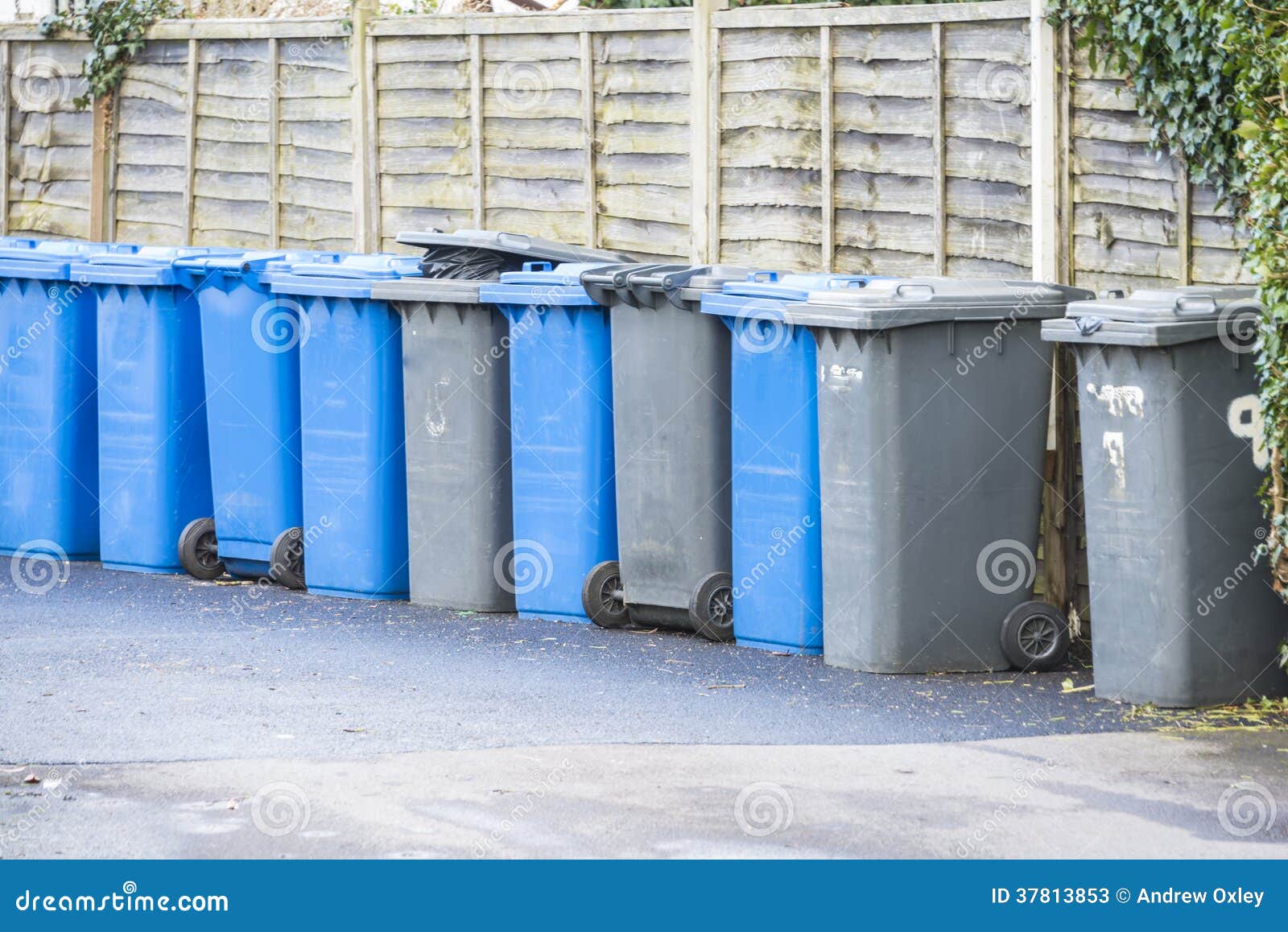 Waste bins stock image. Image of bins, government, england - 37813853
