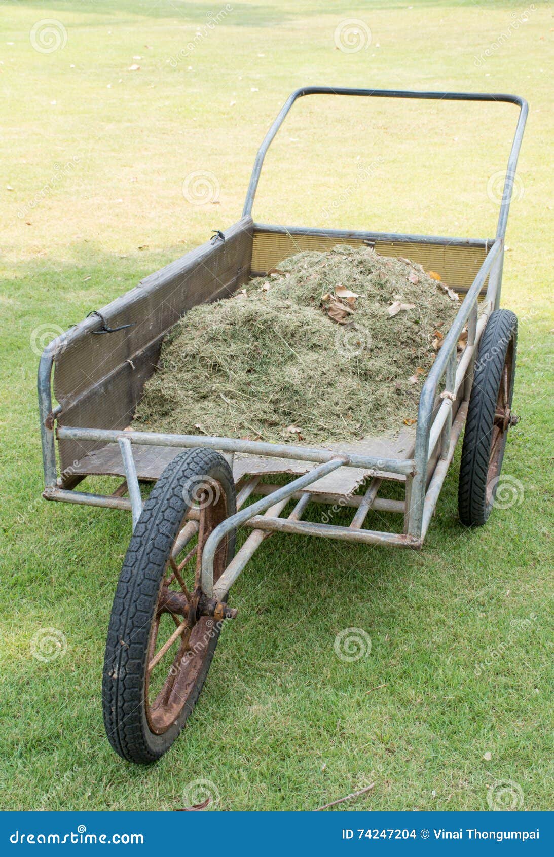 Waste cart with garbage stock photo. Image of trash, wastrel - 74247204