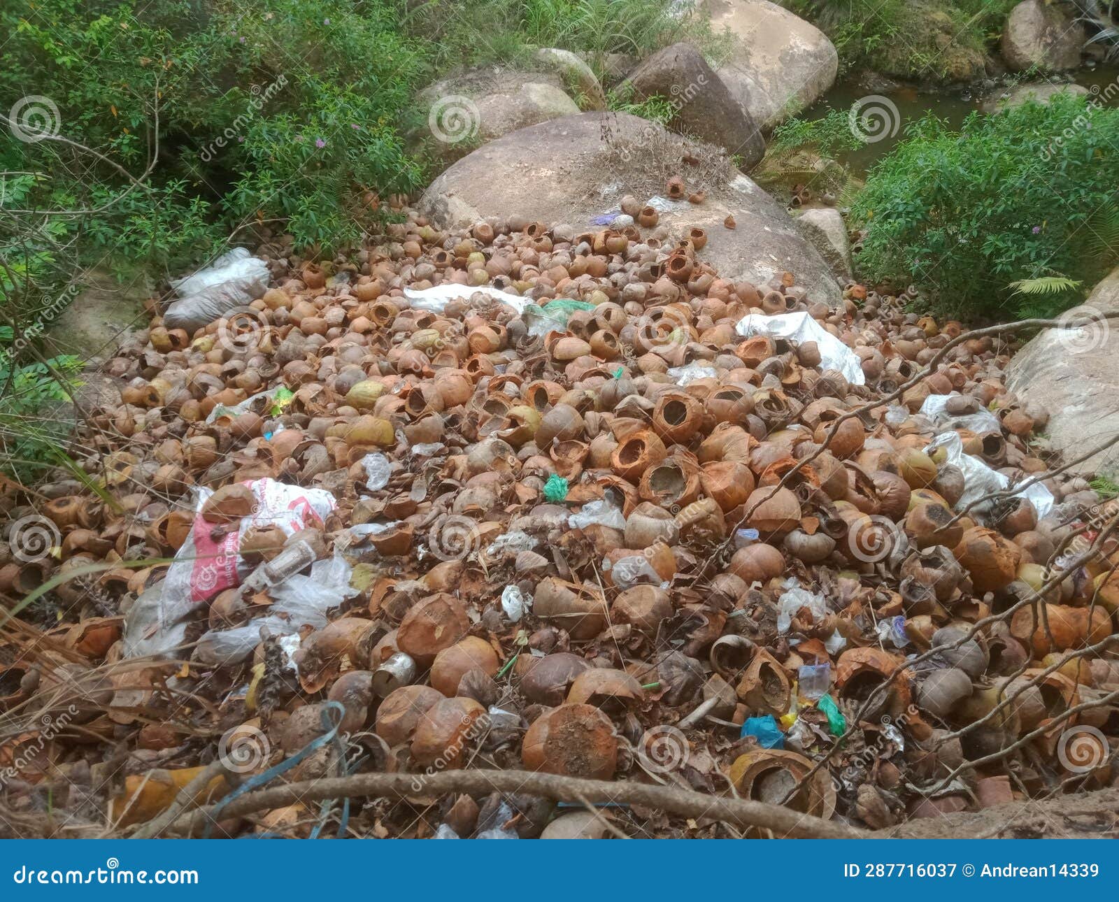 Waste from Coconut Shells that Can Cause Germs To Develop and Cause ...