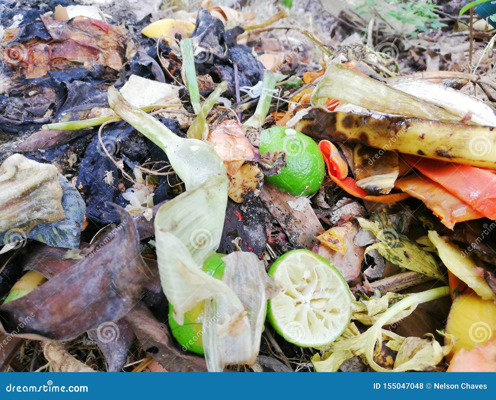 Waste in the compost stock photo. Image of background - 155047048