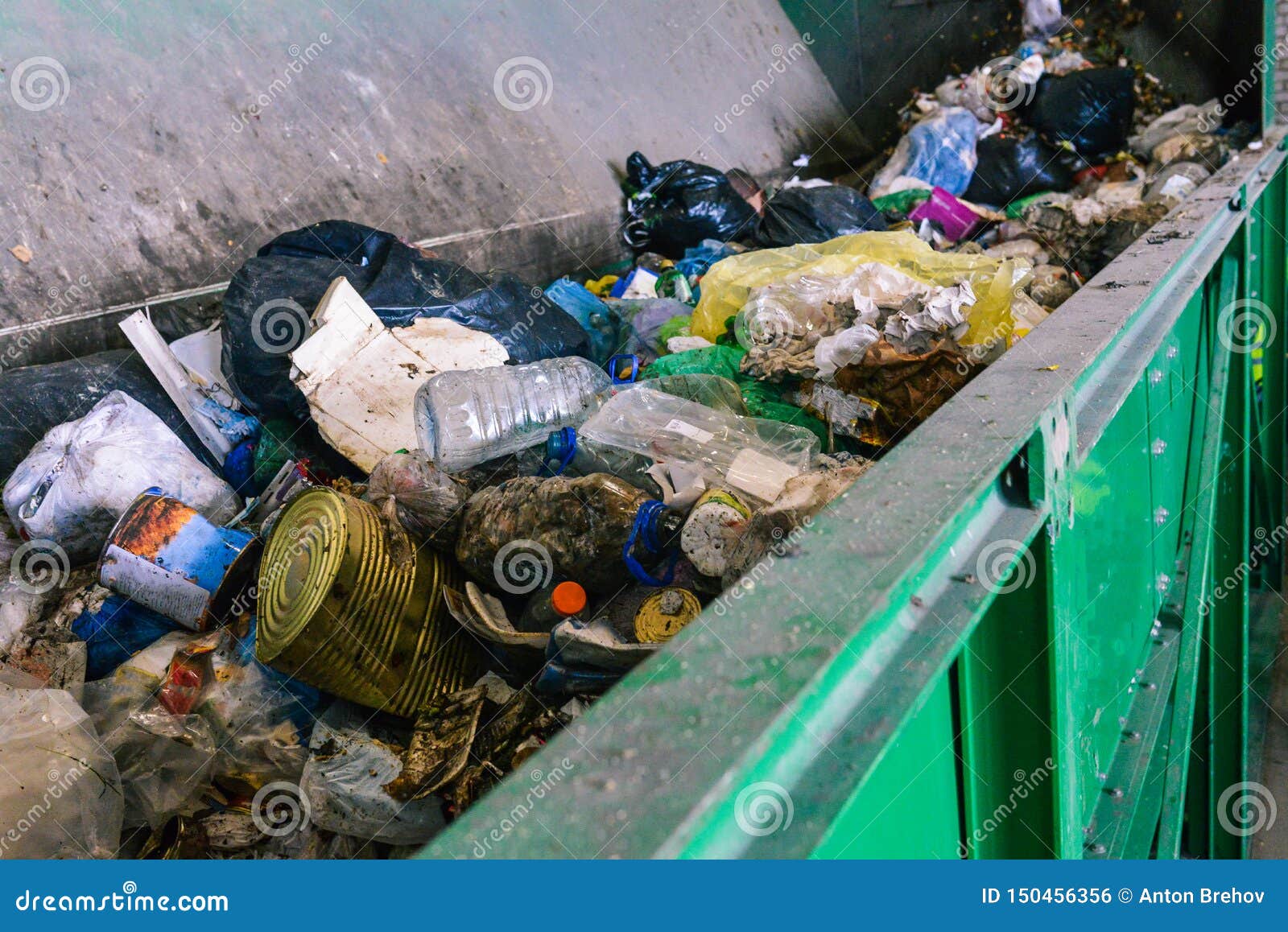 Waste Container on the Sorting Line of a Recycling Plant. the Process ...