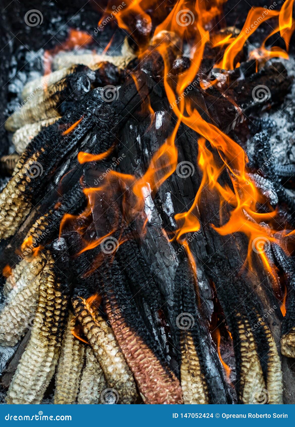 Waste corn cobs burning stock photo. Image of byproduct - 147052424