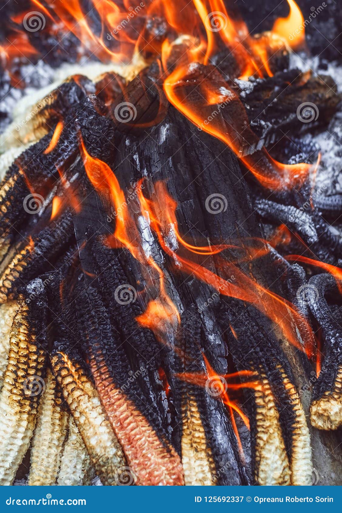 Waste corn cobs burning stock image. Image of damage - 125692337