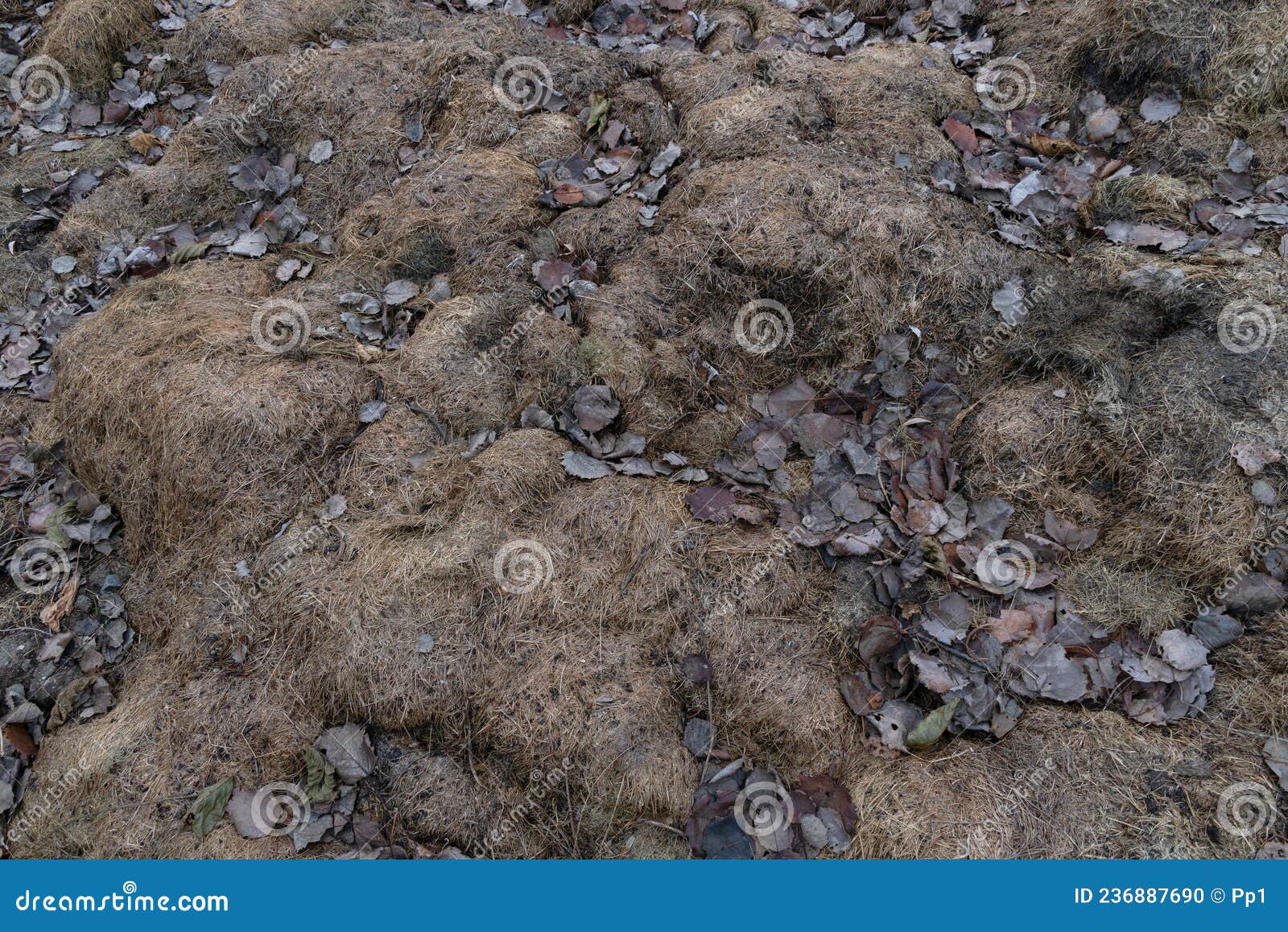 Dump Heap Of Garbage And Waste. Environmental Pollution. Stock ...