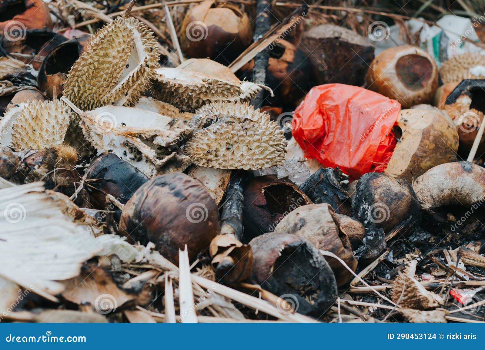 Waste from Durian Shells and Coconut Shells, Some of Which Have Been ...