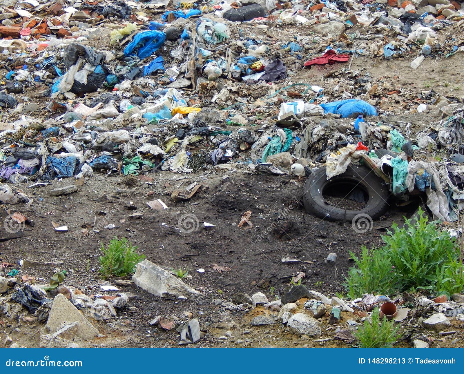 Only waste everywhere stock image. Image of flora, hill - 148298213