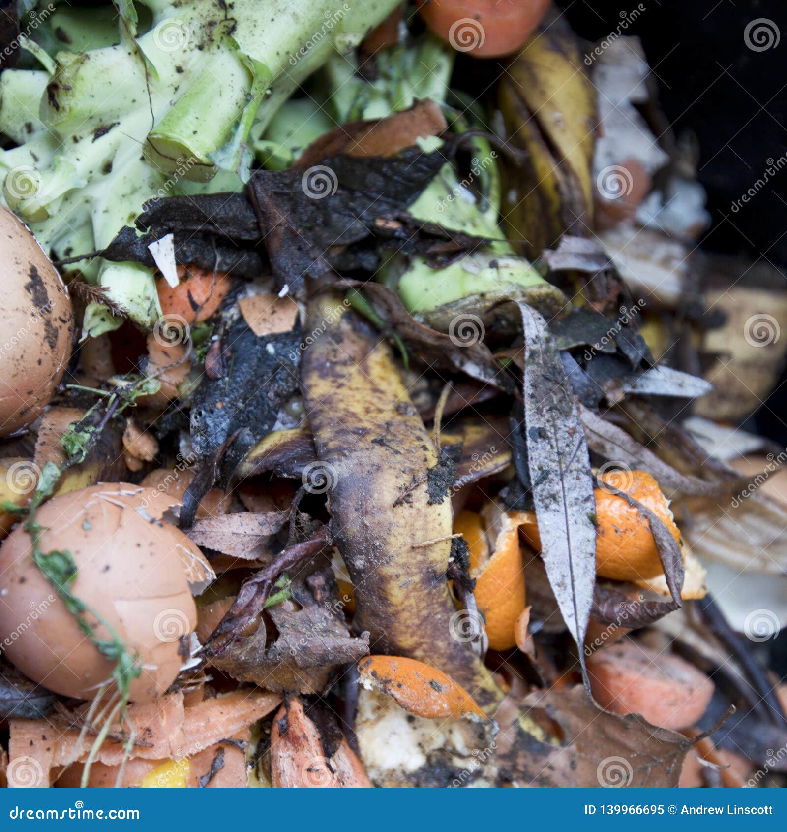 Waste Food in a Compost Bin Stock Image - Image of composting, leaf ...