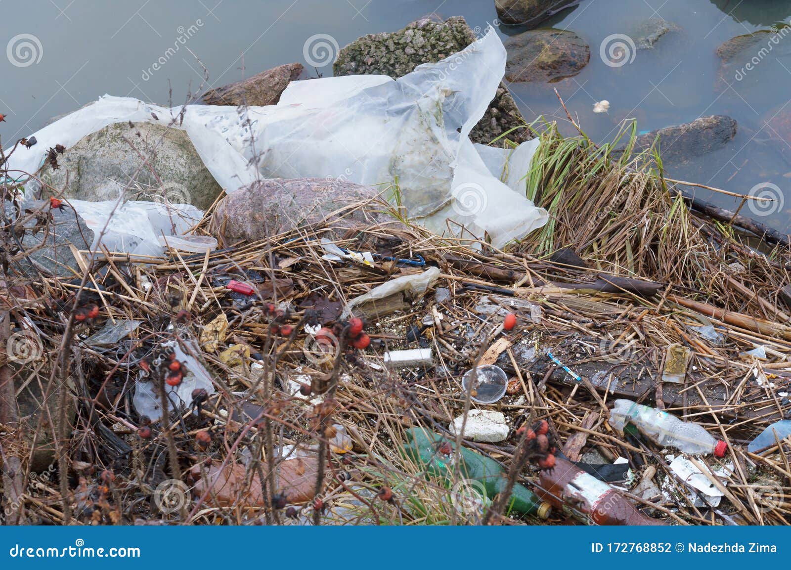 The Waste of Human Life, Household Garbage in the Nature Stock Photo ...