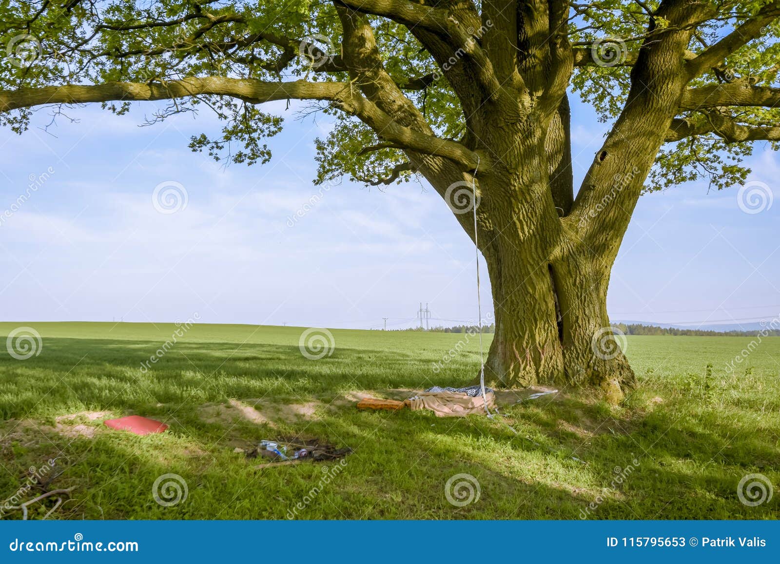 Waste left behind a tree. stock image. Image of garbage - 115795653