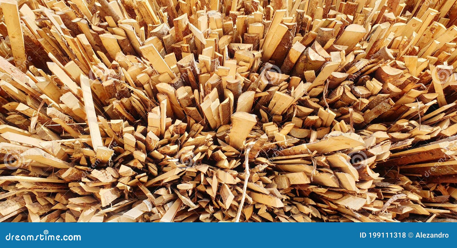 Waste of Lumber. Close Up Front View Stock Photo - Image of wood ...