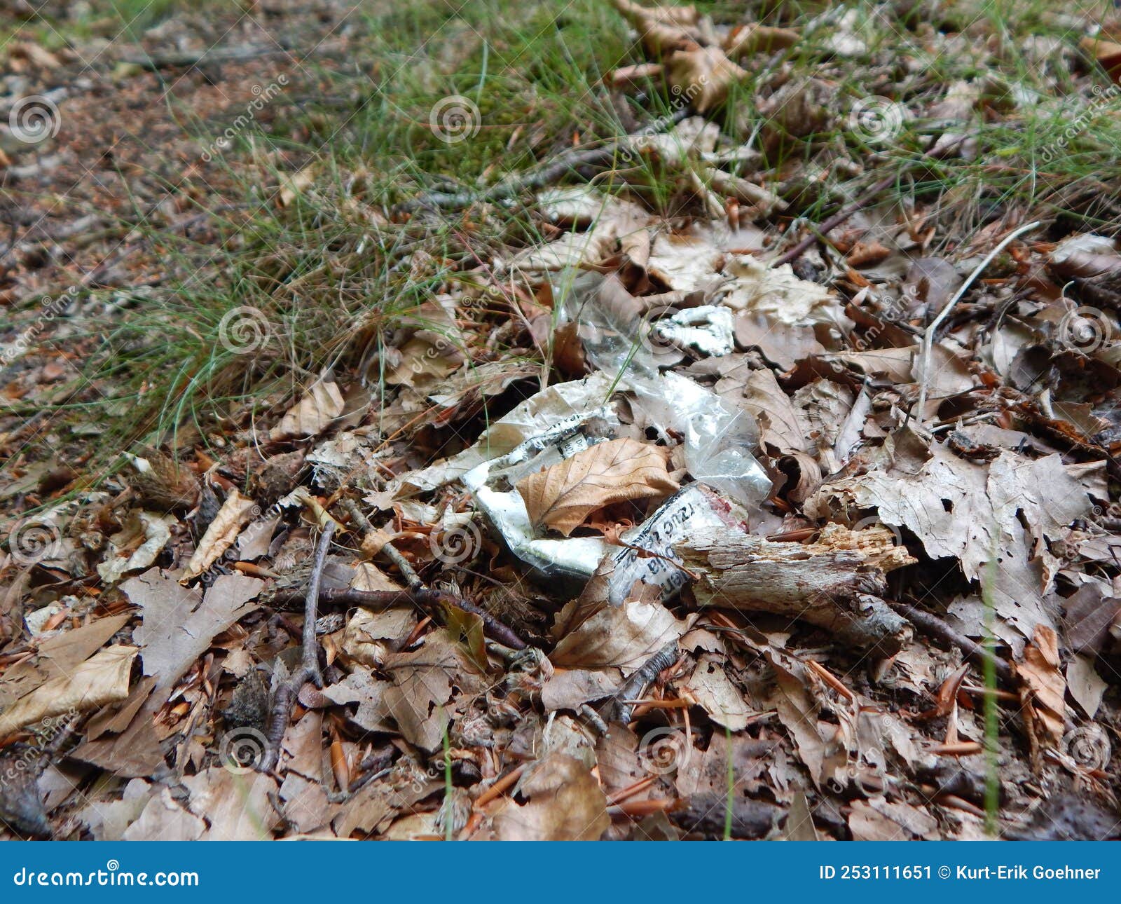 Waste in nature stock image. Image of forest, nature - 253111651