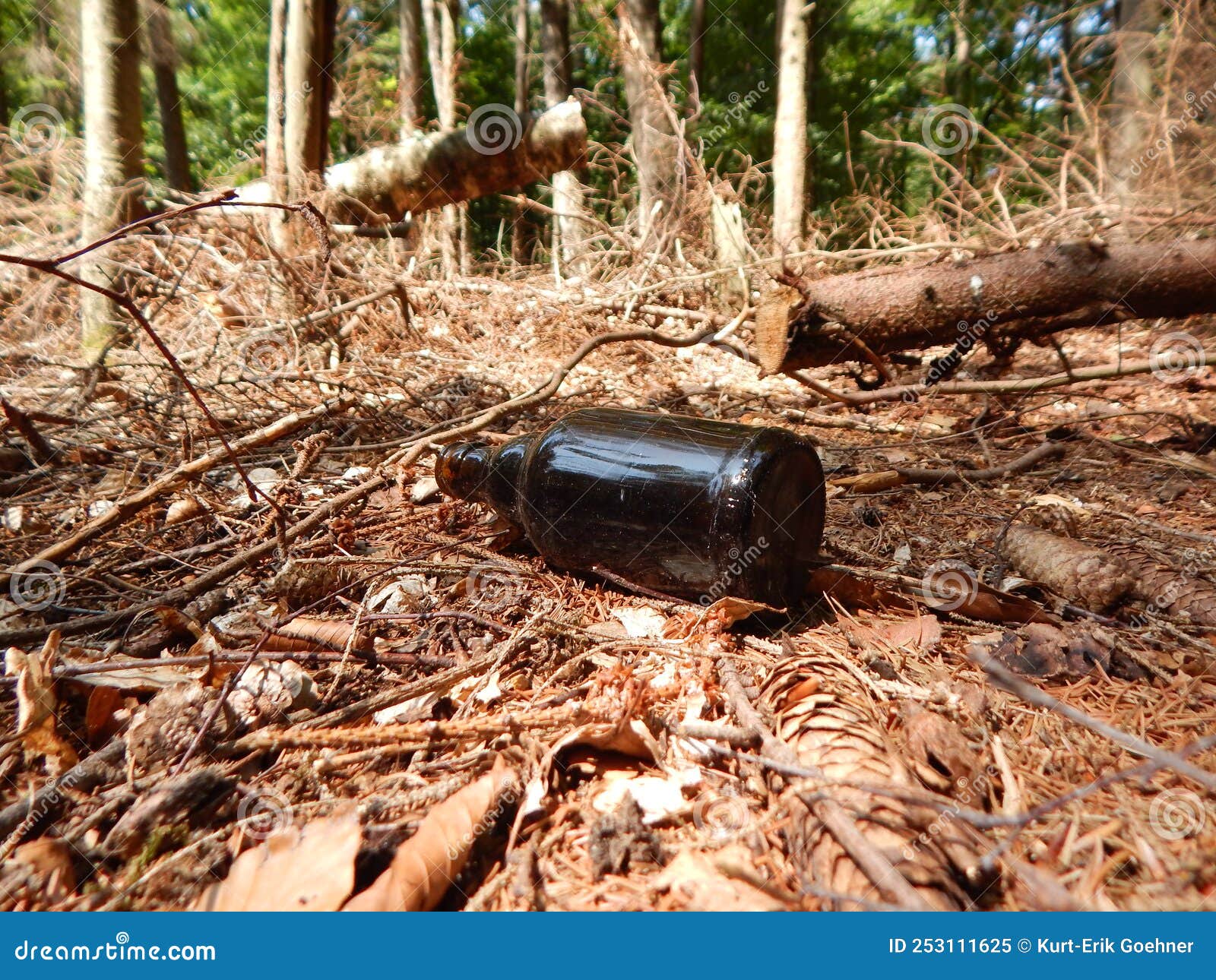 Waste in nature stock image. Image of wilderness, autumn - 253111625