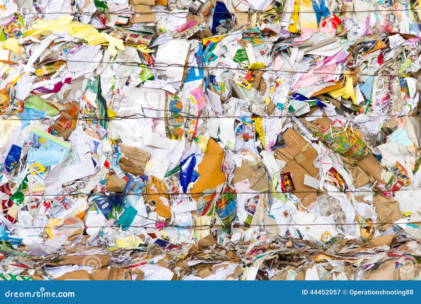 Waste Paper Collection Point. Racks With Folded Boxes Editorial Image ...