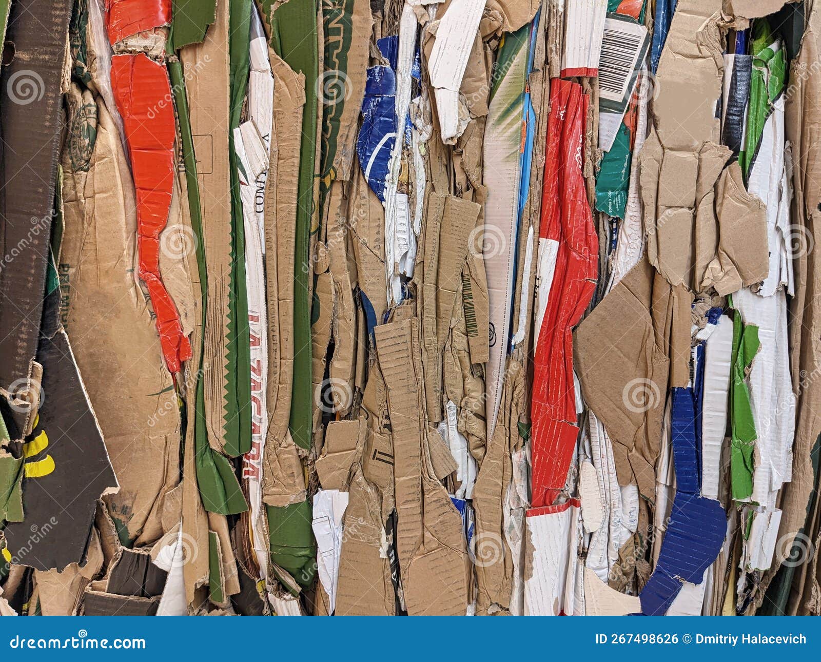 Waste Paper from Pressed Cardboard Boxes is Sorted and Packed for ...