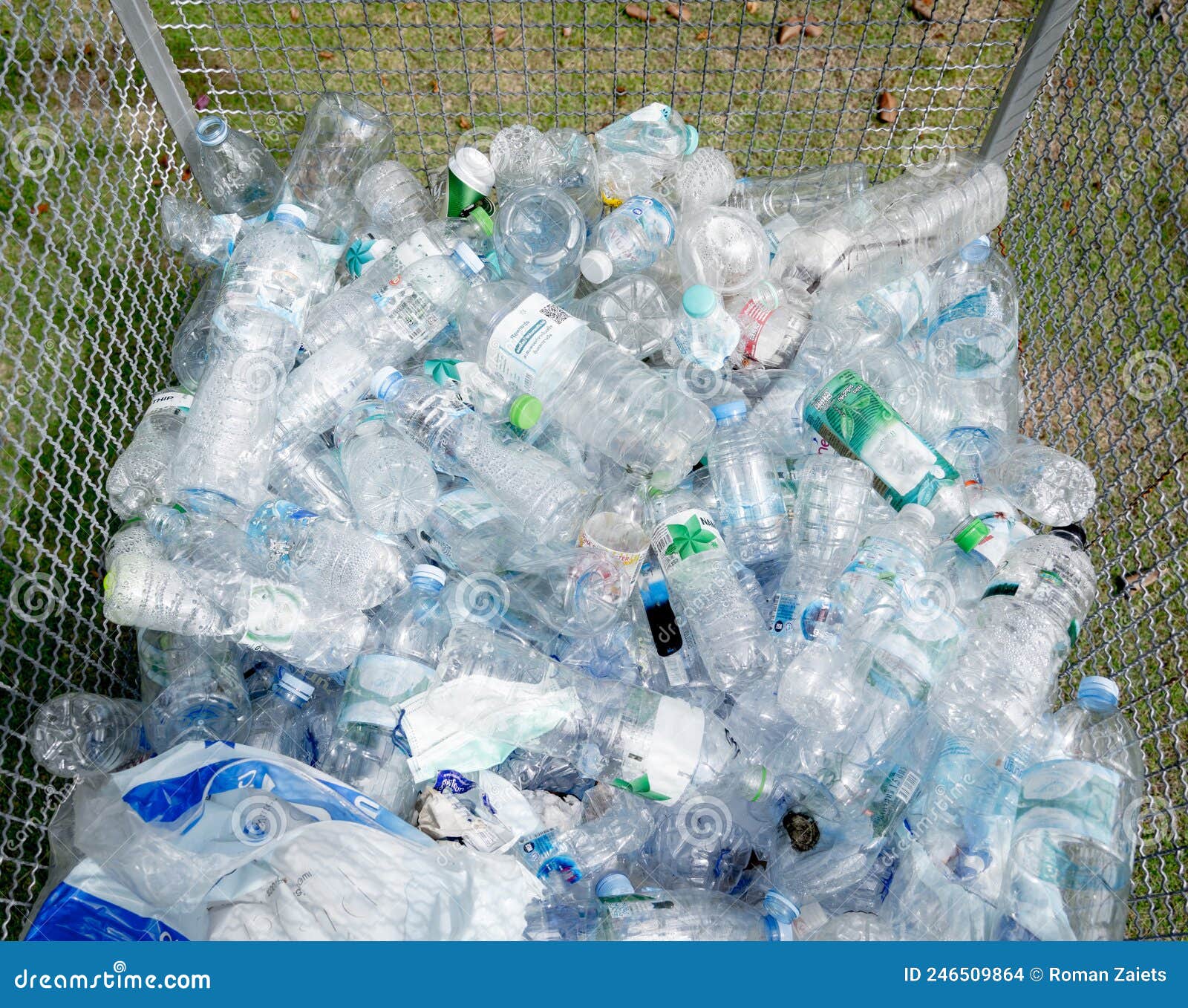 Waste Plastic Bottles in the Garbage Bin Stock Photo - Image of garbage ...