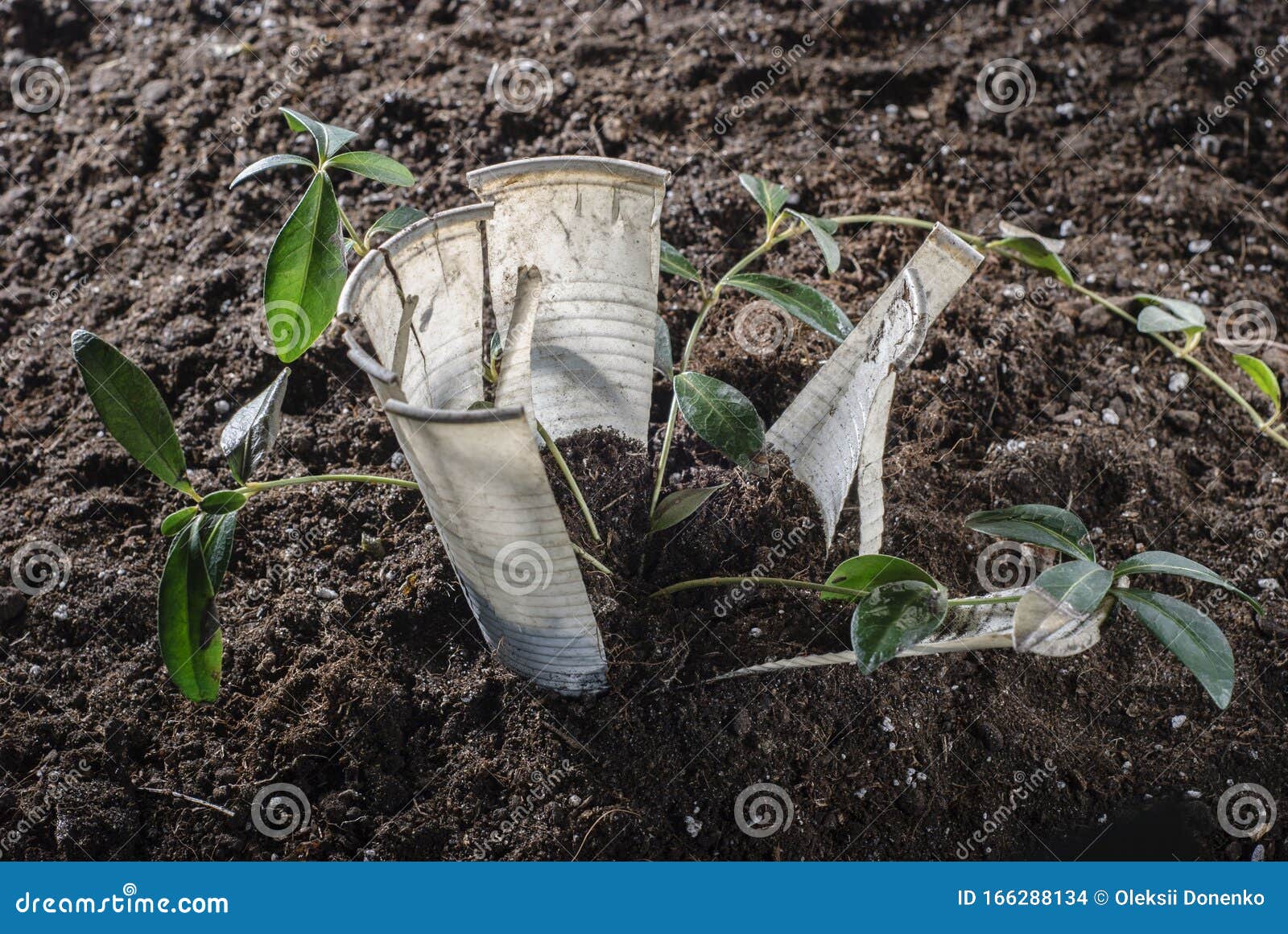 The Problem of Mankind is Environmental Pollution with Plastic. an ...