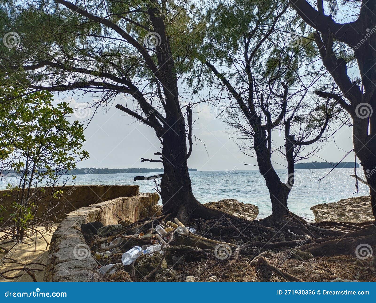 Waste Plastic Bottles on the Roots of Trees Stock Photo - Image of ...