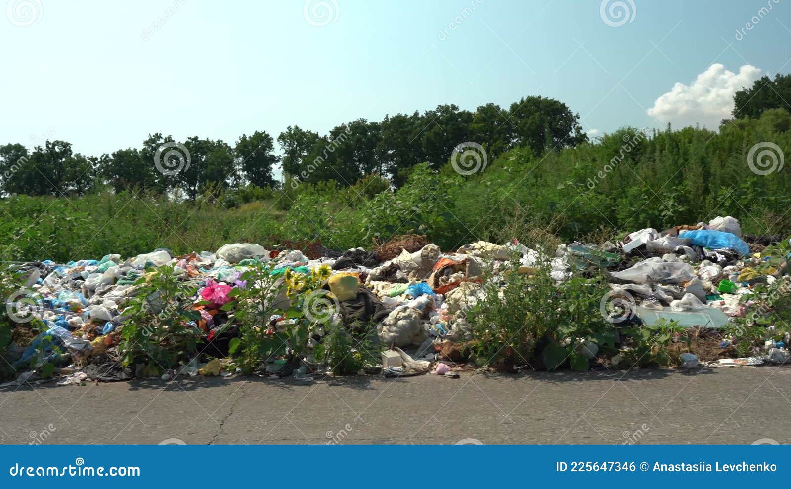 Waste Plastic and Other Types of Rubbish in the Nature Stock Footage ...
