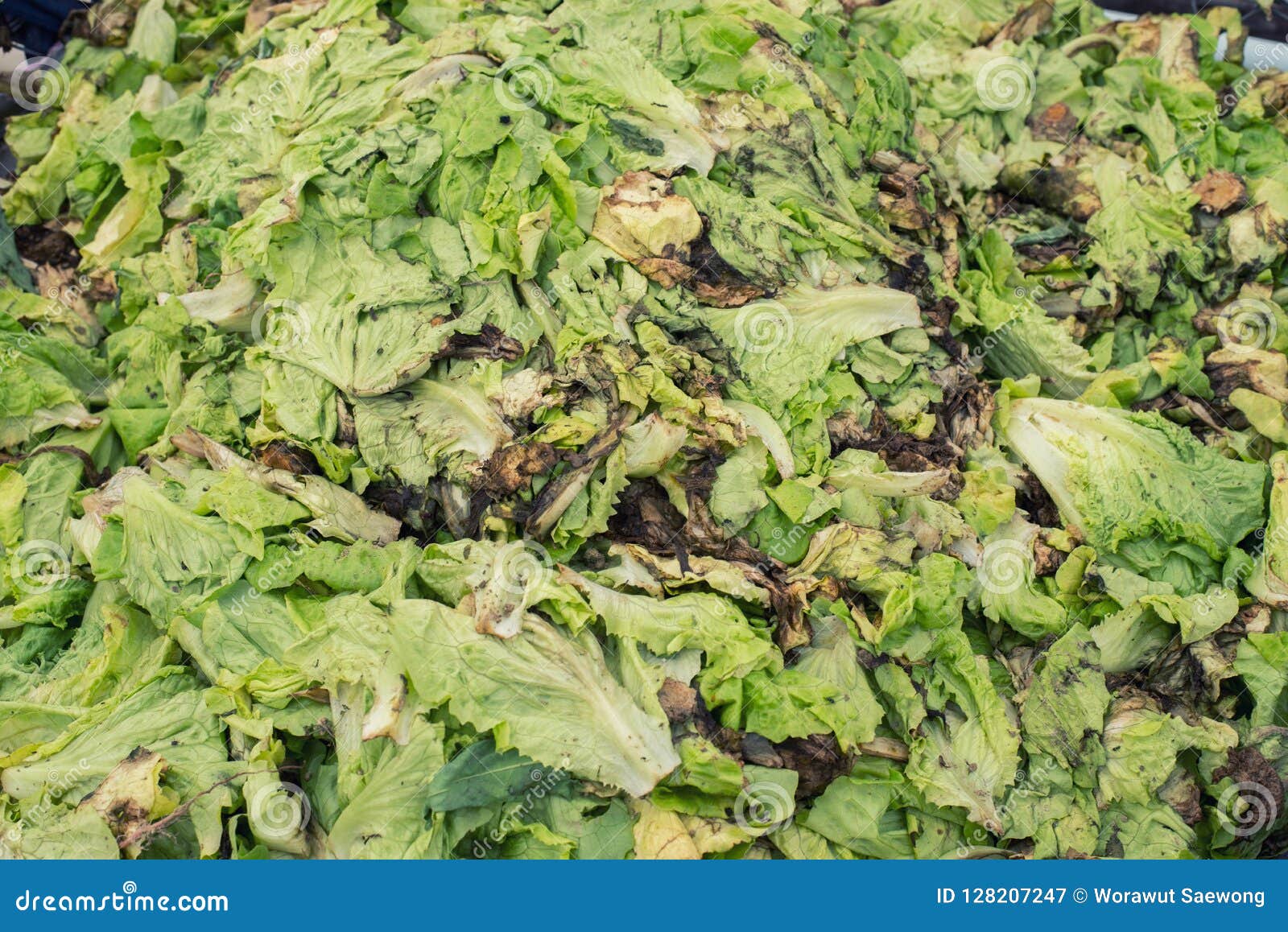 Waste from the Remaining Crop of the Harvest. Stock Image - Image of ...
