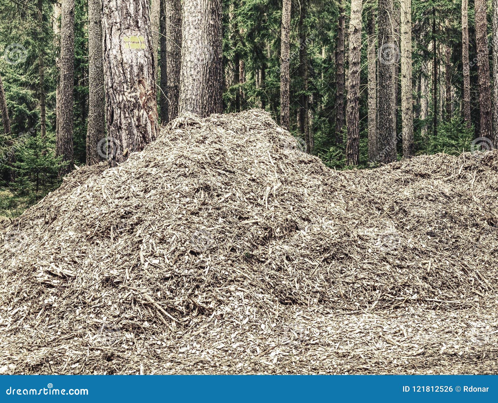 Waste Sawmill and Bark Chips. Stack of Raw Material Stock Photo - Image ...