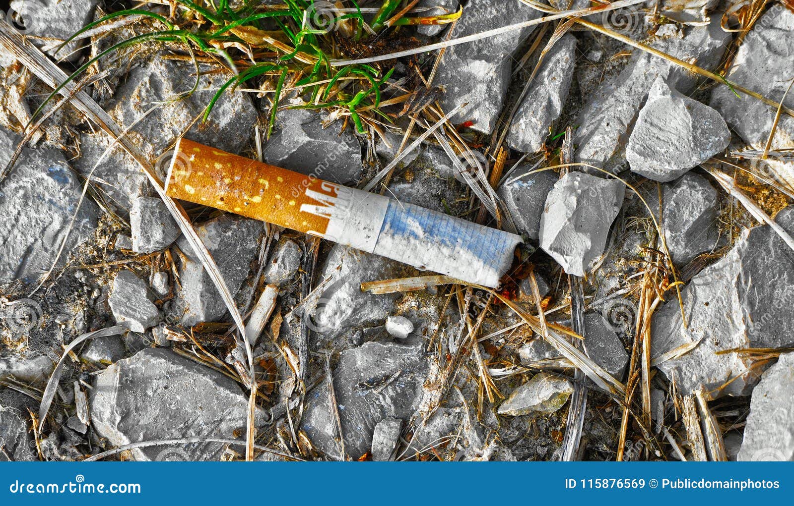 Waste, Scrap, Grass, Soil Picture. Image: 115876569