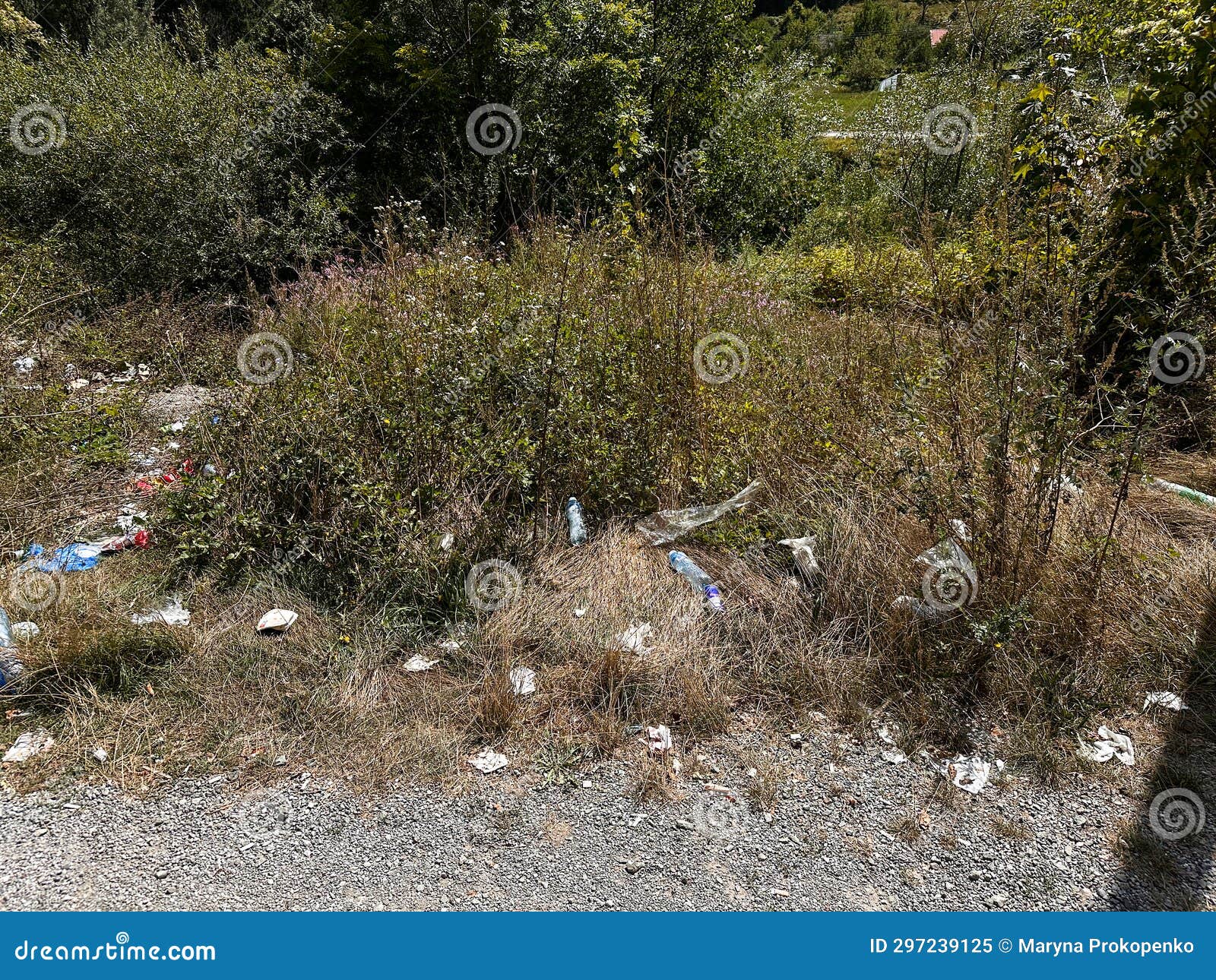 Waste on the Side of the Road in Bushes and on the Ground ...