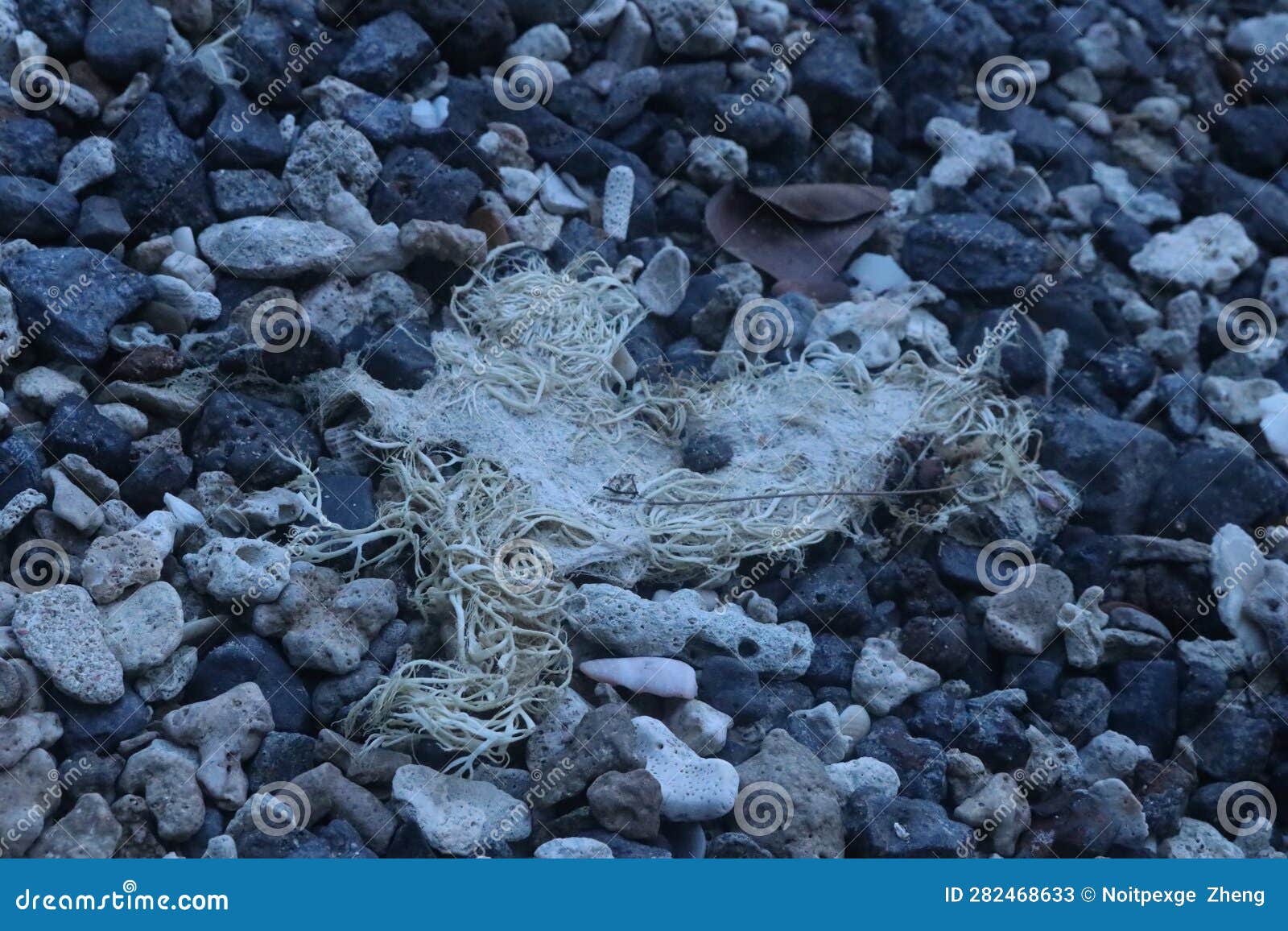 Waste on Stack of Rocks at the Rocky Beach Stock Image - Image of ...