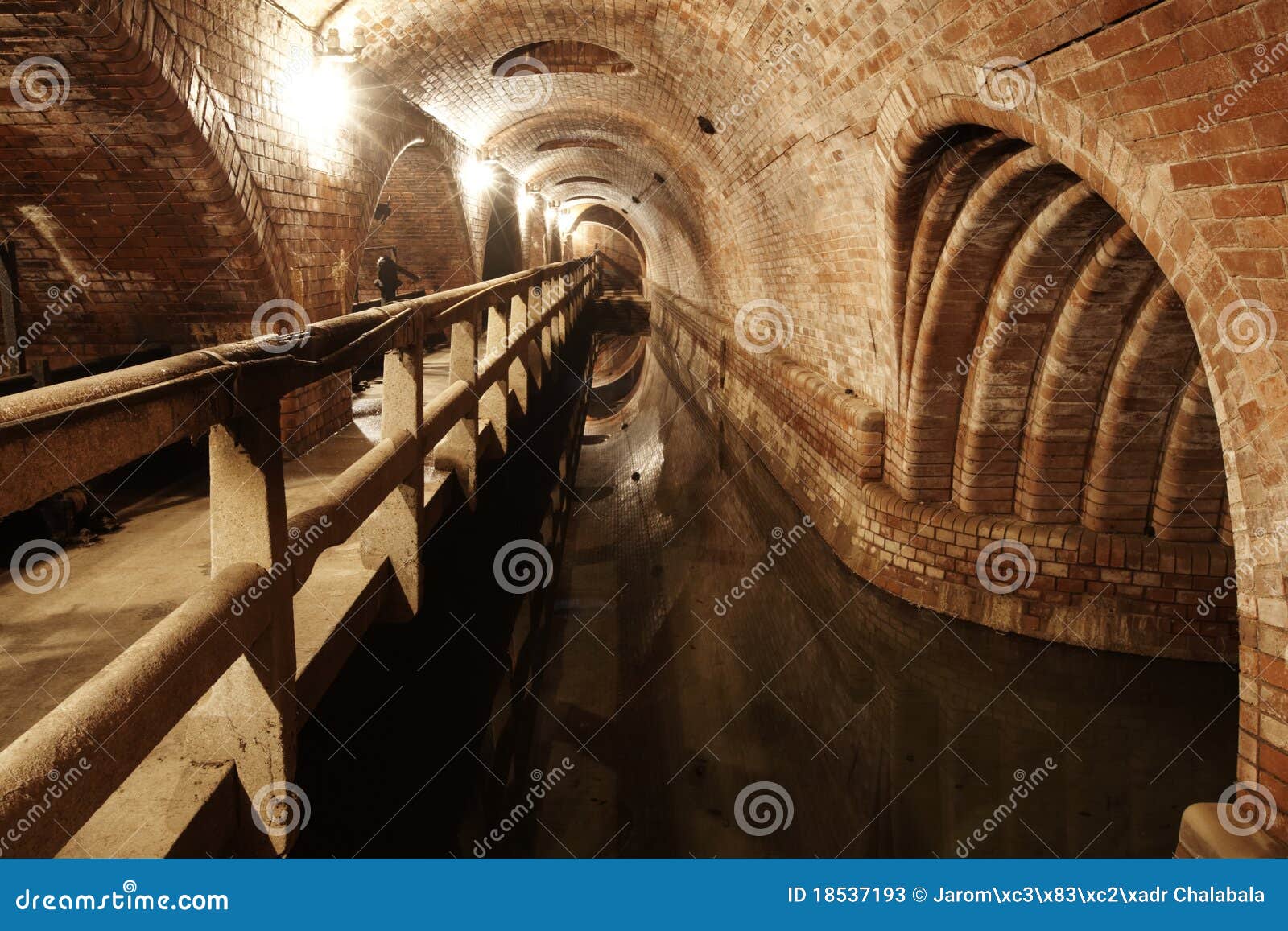 587 Subterranean System Stock Photos - Free & Royalty-Free Stock Photos ...