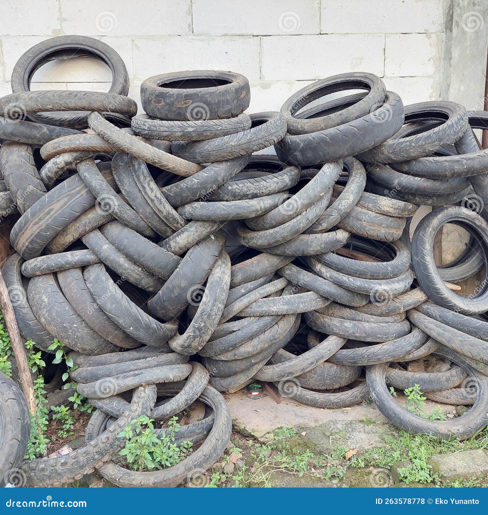 Waste Tires Collected for Recycling Stock Photo - Image of leaf, flower ...