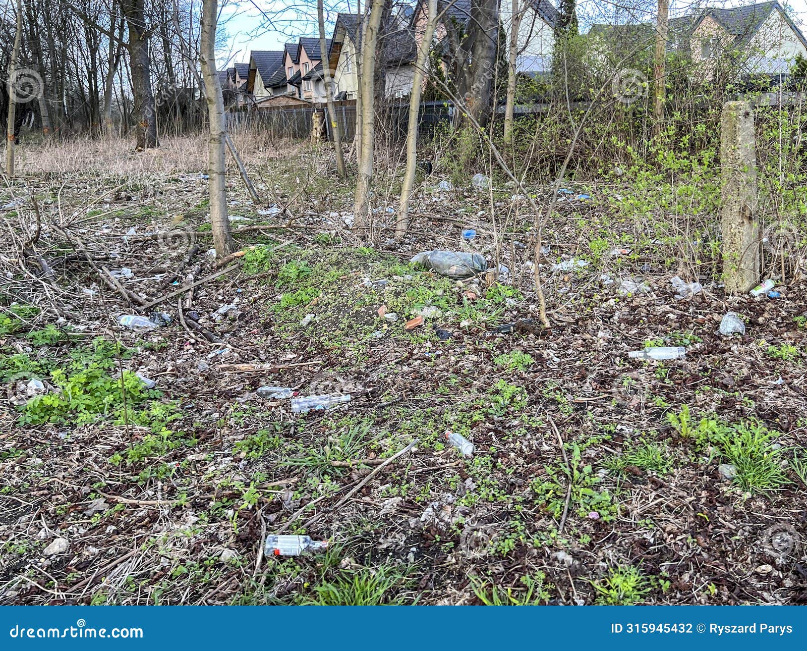 Waste and Various Garbage in Forests and Green Areas are a Problem If ...