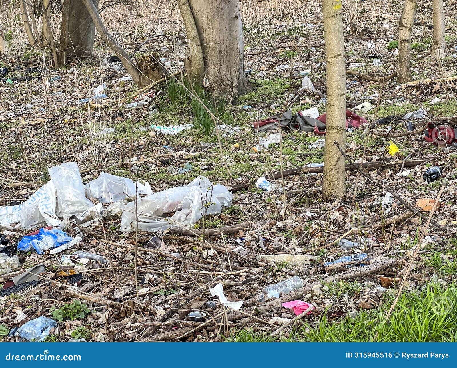 Waste and Various Garbage in Forests and Green Areas are a Problem If ...