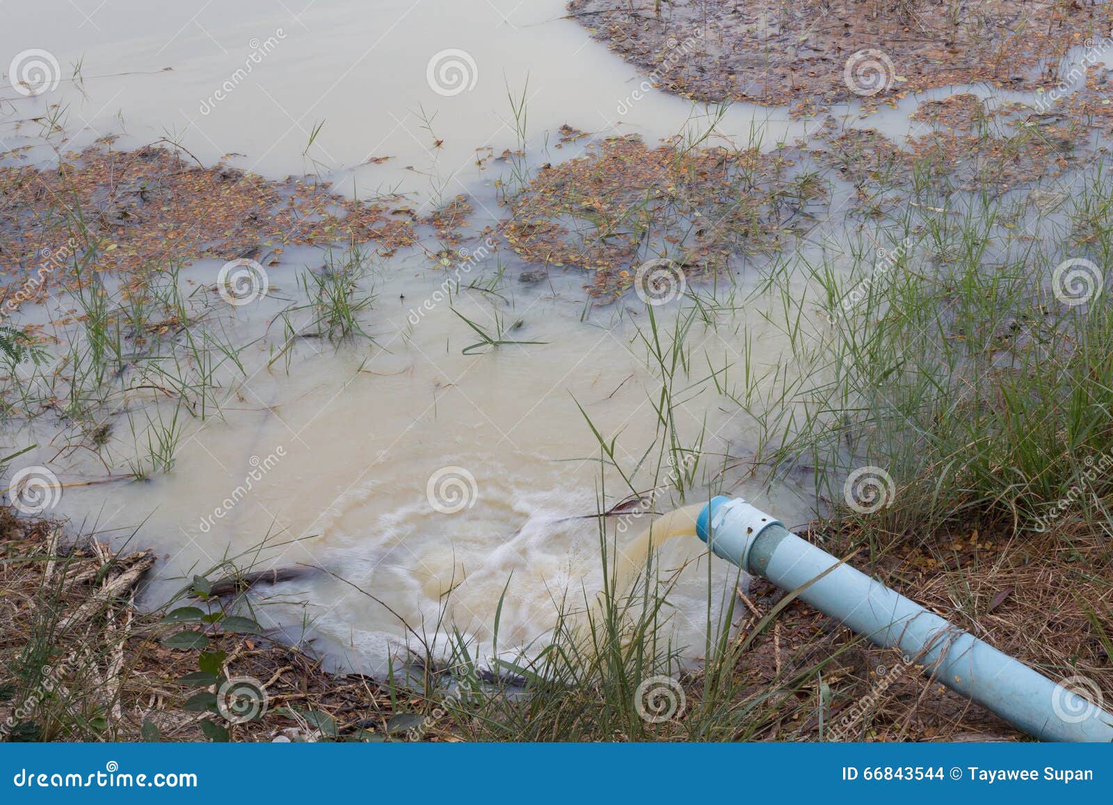 Waste Water Running from a Pipeline To Pond Stock Photo - Image of ...